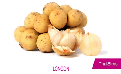 Thai Fruits - ThaiSims